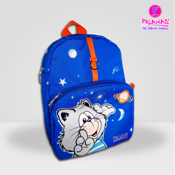 MORRAL ESPACIAL MICH – Pelanas